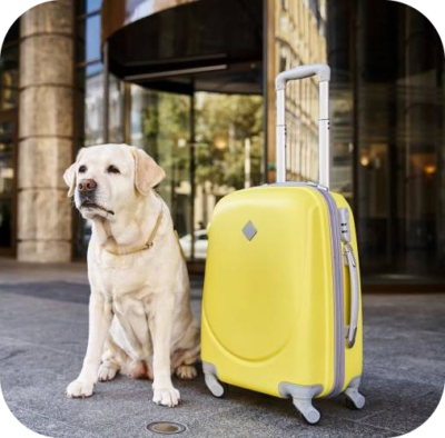 Veterinarian Champaign, Urbana | Mahomet Animal Hospital